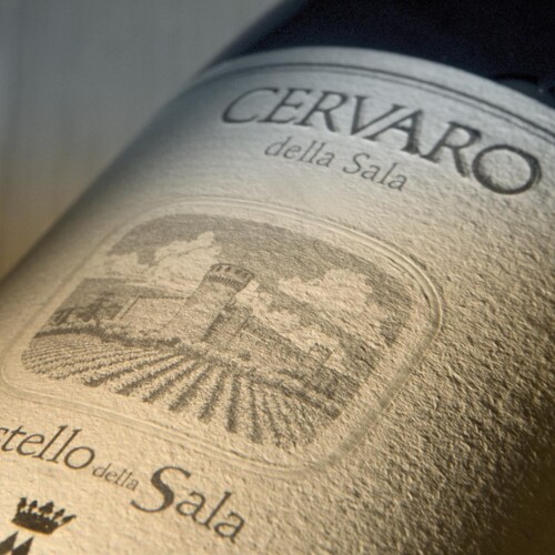 Era il 1985, nasceva il Cervaro della Sala. | Marchesi Antinori
